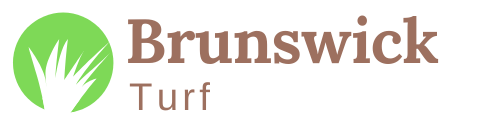 What Sand Is Best for Paving Base? – BrunswickTurf